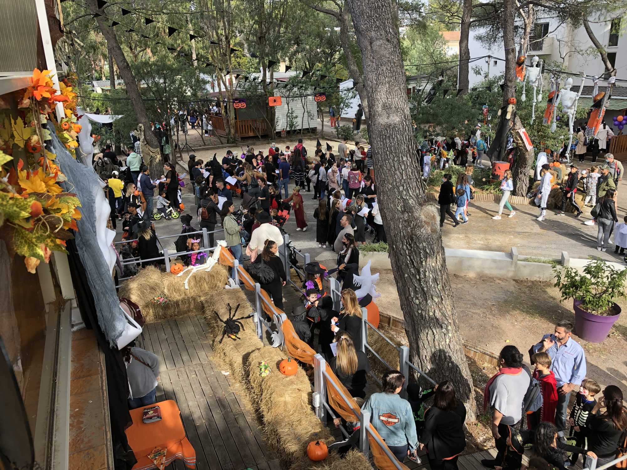 La galerie photos du Ranch de l'Aubarede au Cannet