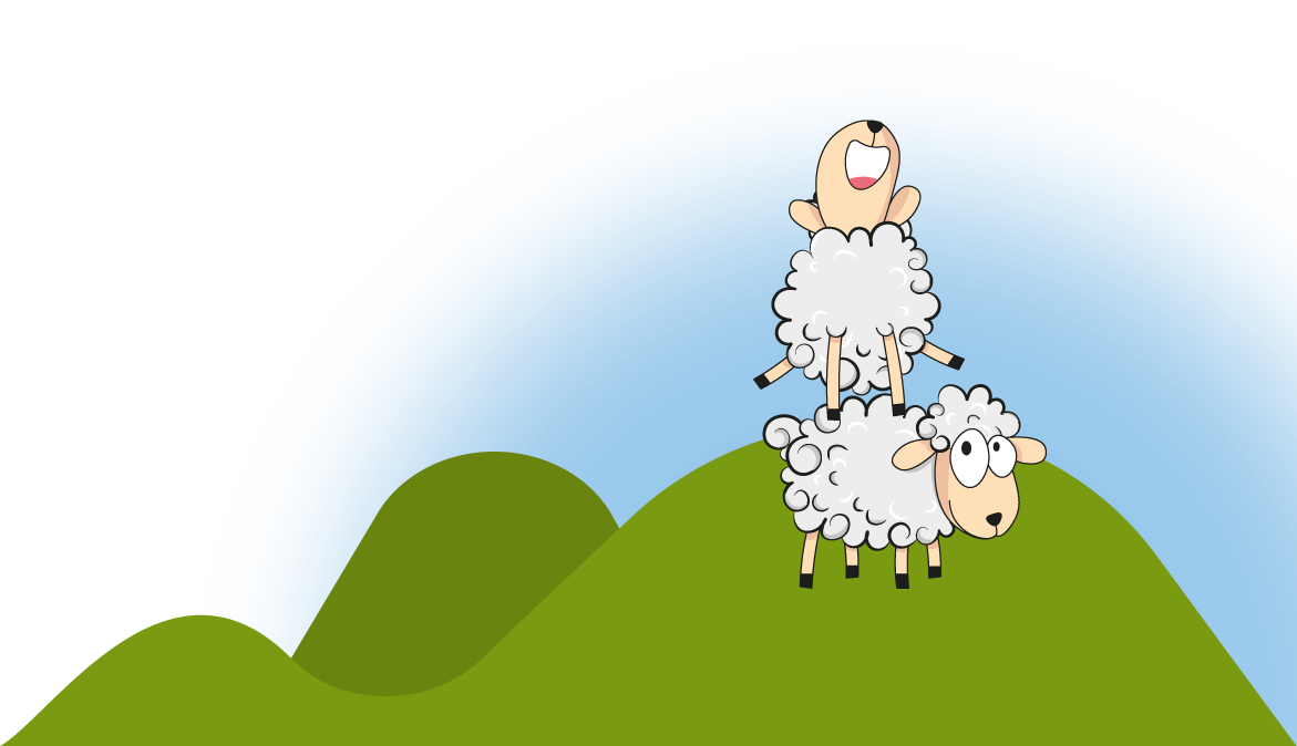 Élevage de brebis et vaches près de Sélestat