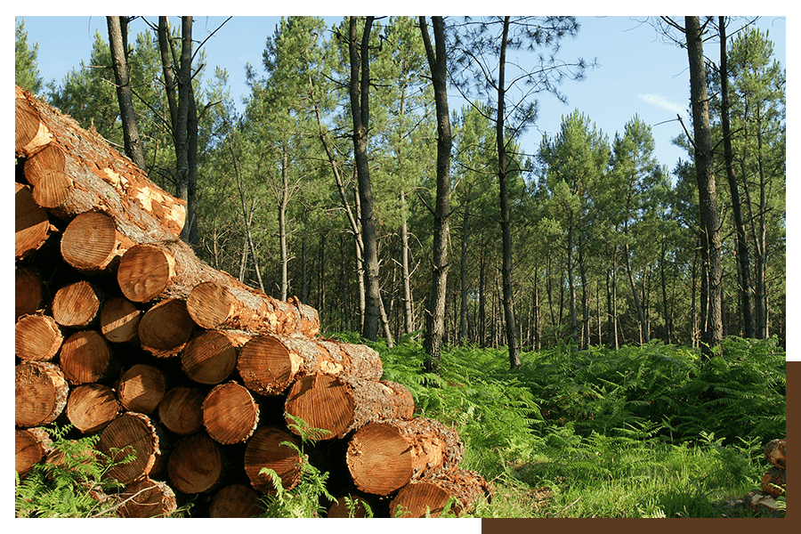8 Stres De Bois