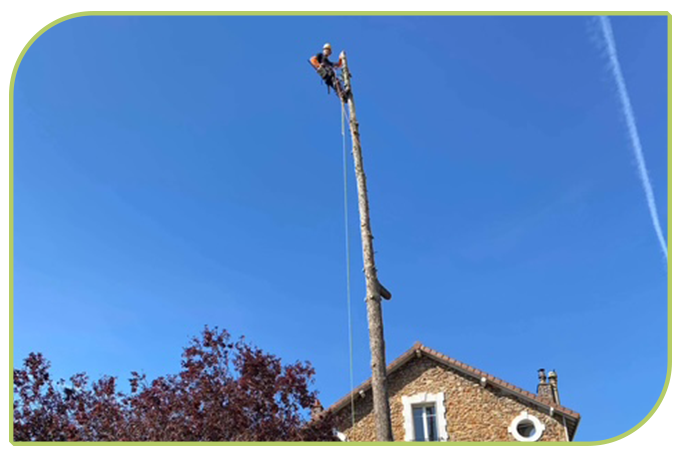 Abattage d’arbres à Lamorlaye | Demandez plus d’informations