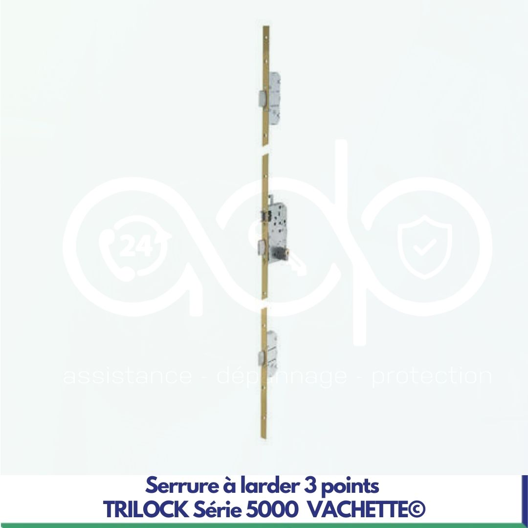Serrure à larder TRILOCK Série 5000 3 points VACHETTE