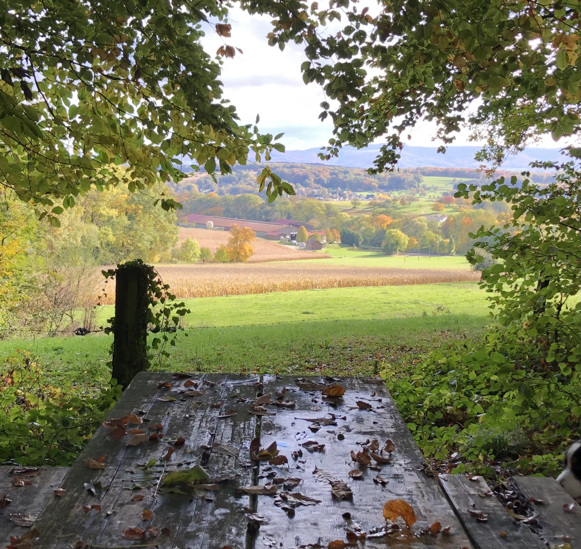 GAEC du Lindenhof à Hagenthal-le-Haut