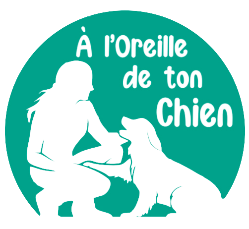 Intervention dans les refuges et SPA