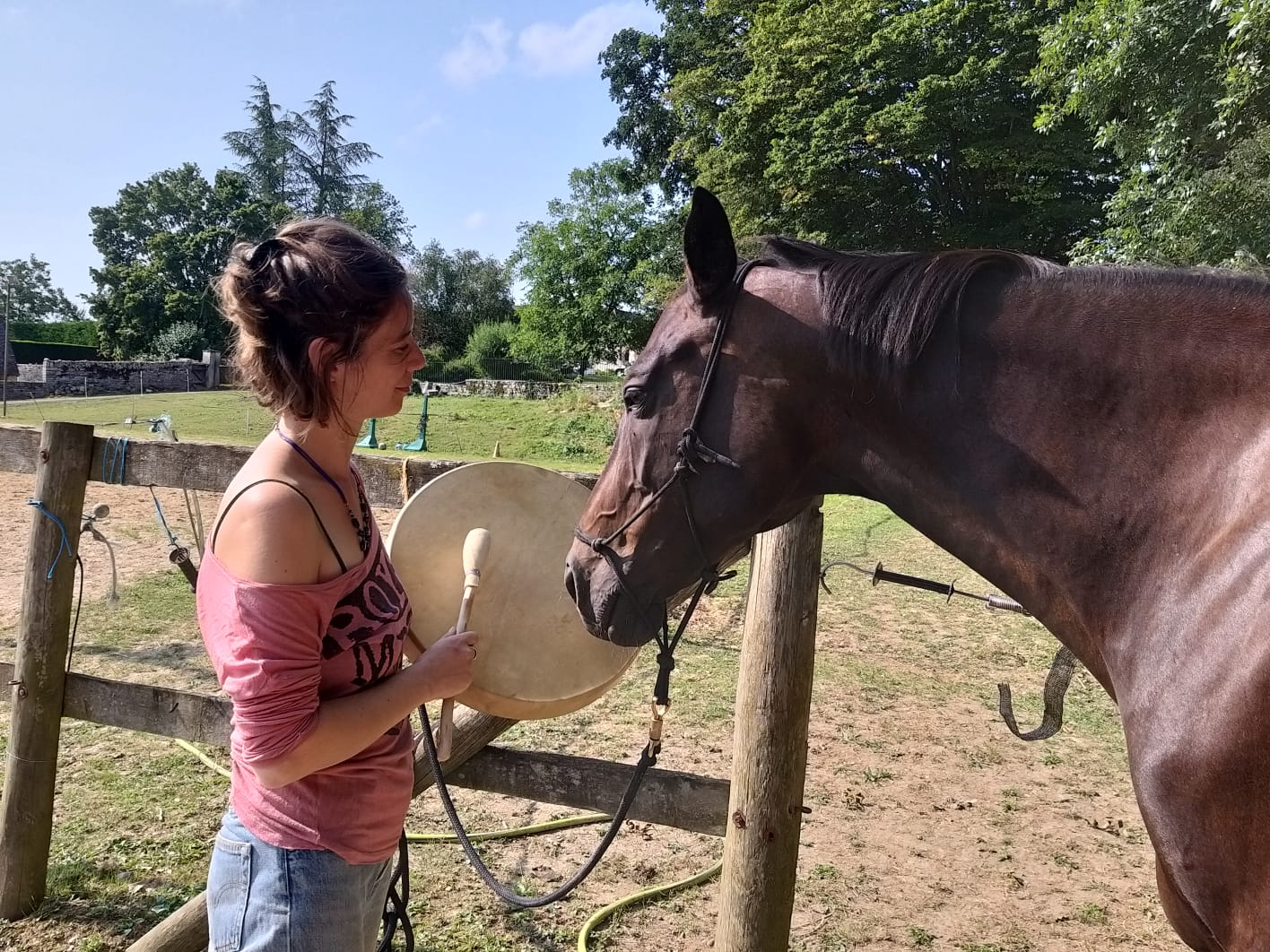 Kinésiologue pour animaux à Acqueville près de Cherbourg