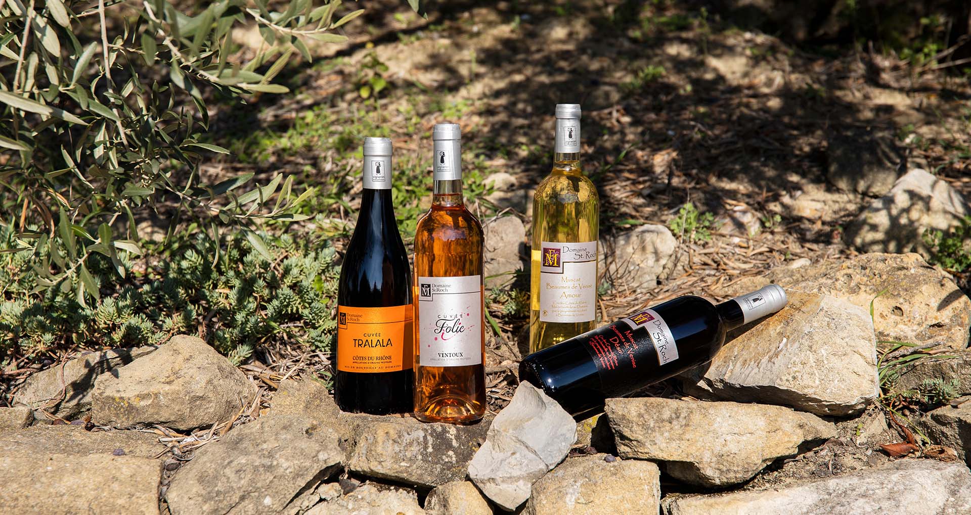 Domaine viticole à Beaumes-de-Venise