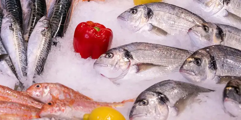 Vos poissons frais à Grenoble