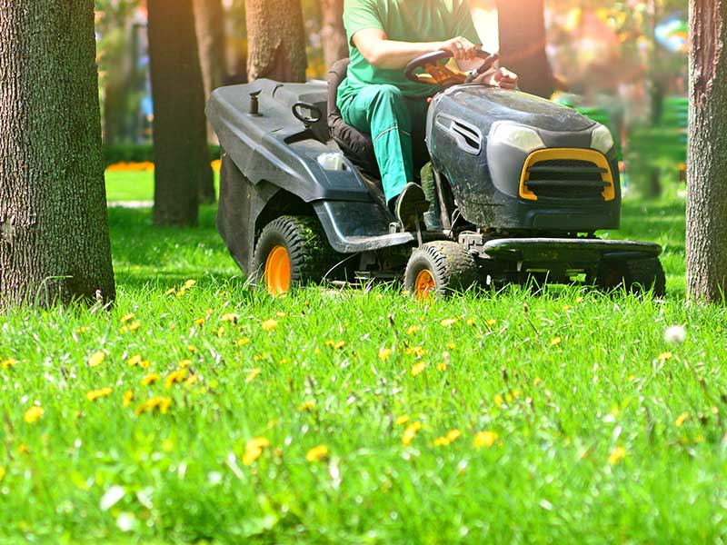 Paysagiste à Espalion