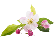 Magasin de produits naturels à Limoges