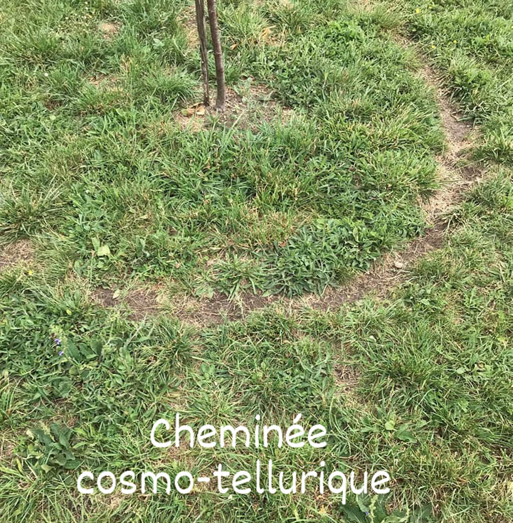 Spécialiste de la géobiologie à Jonzac – Appelez-moi